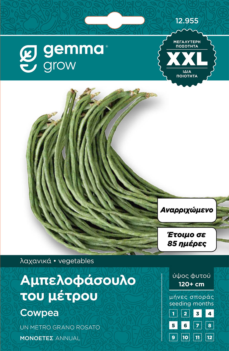 Φασόλι Αμπελοφάσουλο του Μέτρου Αναρ/μενο 871 φάκελος σπόρων XXL | Gemma